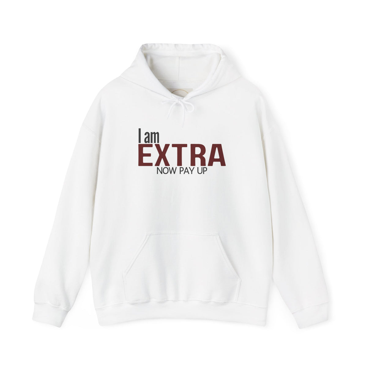I Am Extra Now Pay Up. Gildan Unisex Hoodie – Invaluable Minutia