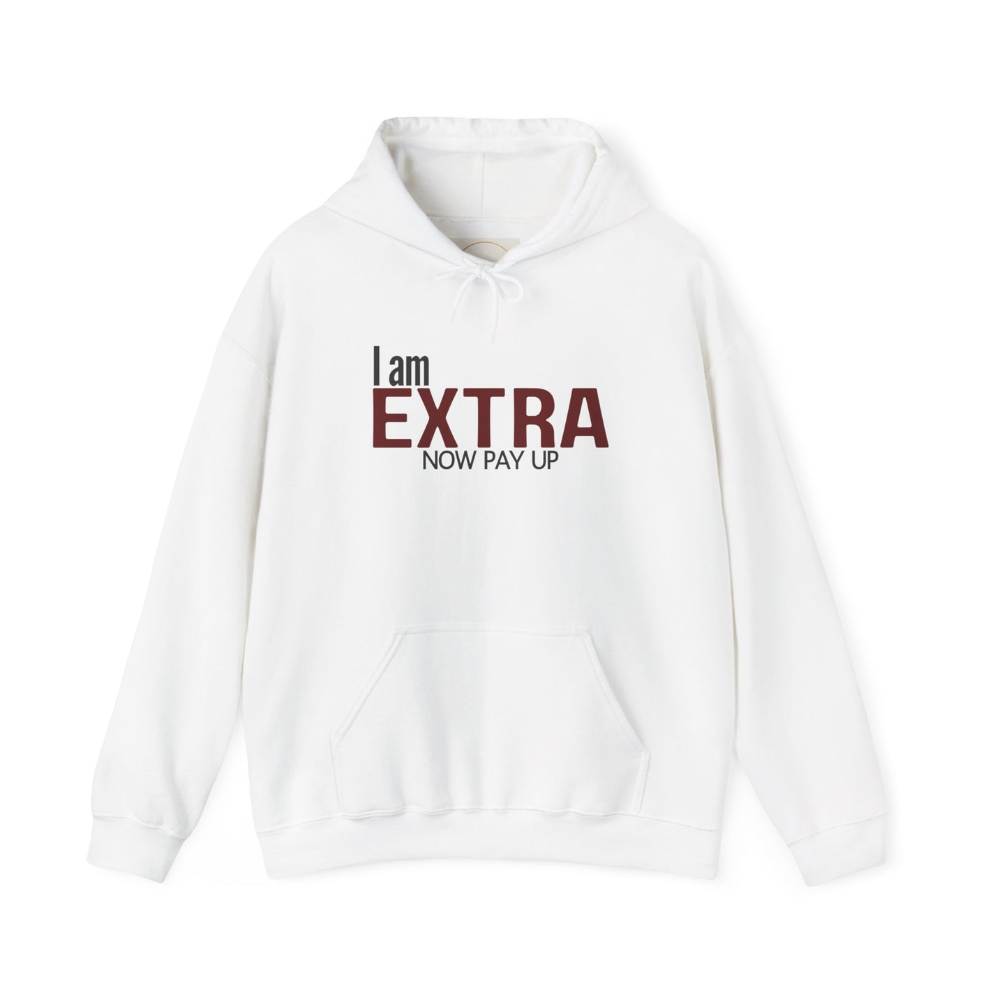 I Am Extra Now Pay Up. Gildan Unisex Hoodie – Invaluable Minutia