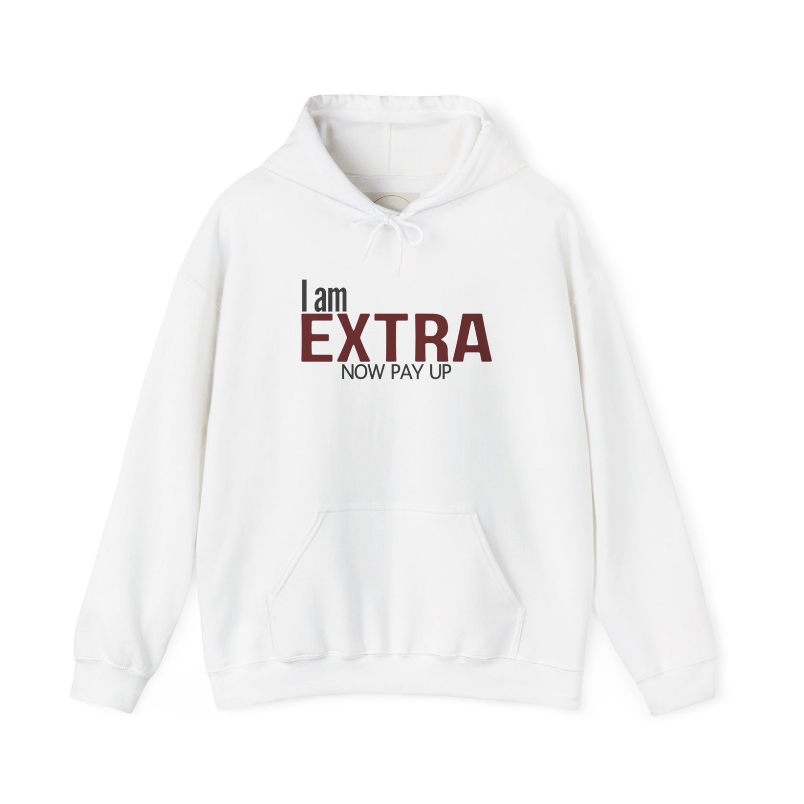 I Am Extra Now Pay Up. Gildan Unisex Hoodie – Invaluable Minutia